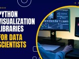 Top Python Visualization Libraries For Data Scientists