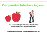 Comparable Interface In Java Scientech Easy