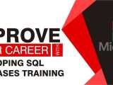 Developing Sql Databases Training Scils Management Centre