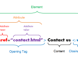 What Is The Difference Between Html Elements And Tags Scmgalaxy