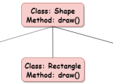 Tutorial For Polymorphism In Oops Scmgalaxy
