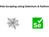 Web Scraping With Selenium Python A Beginner Friendly Tutorial