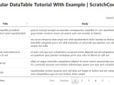 Angular Datatable Tutorial With Example Scratch Code