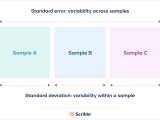 What Is Standard Error How To Calculate Guide With Examples