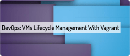 DevOps: VMs lifecycle management with Vagrant | Scripting Library