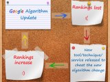 Why How To Track Google Algorithm Updates