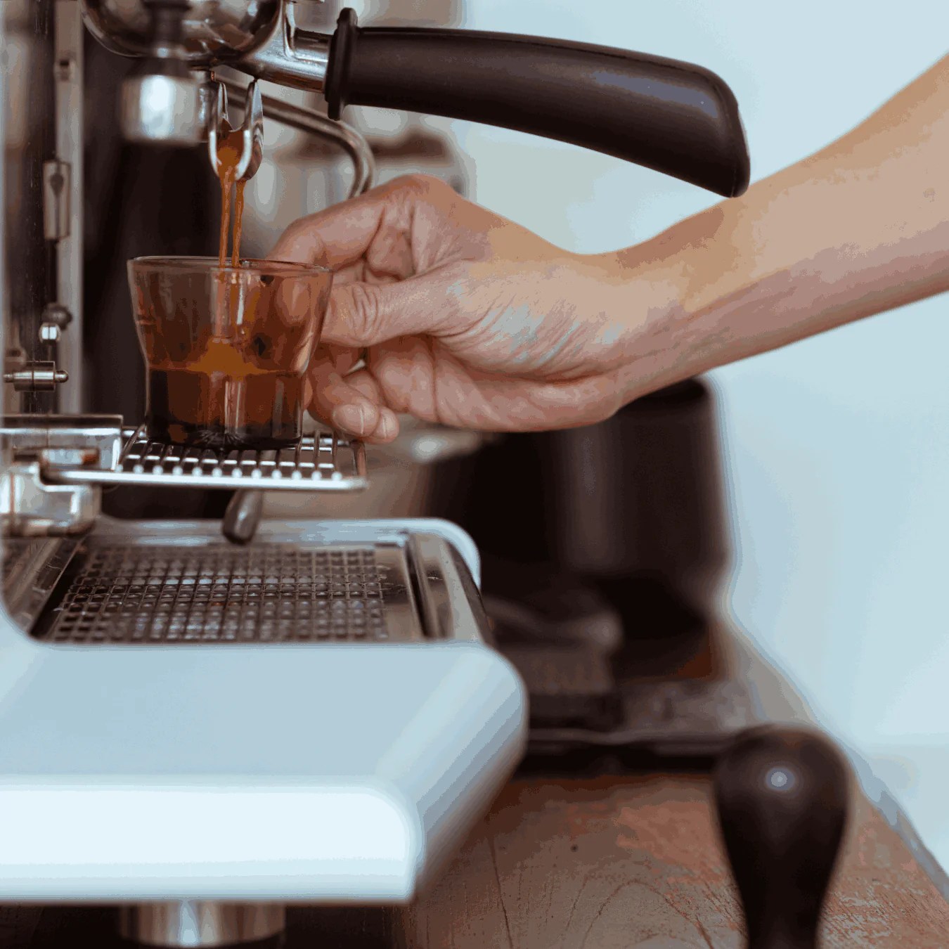 Complete Module Bundle All Coffee Training Courses