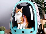 Cat Backpack The Comfortable Cat Carrier In 2025