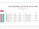 Html Datatable With Api Source Code Sellanycode