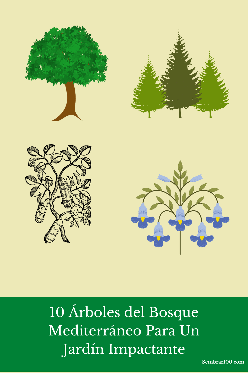 10 Árboles Del Bosque Mediterráneo Para Un Jardín Impactante [FOTOS Y ...