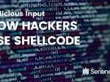 How Hackers Use Shellcode An Easy Guide 101