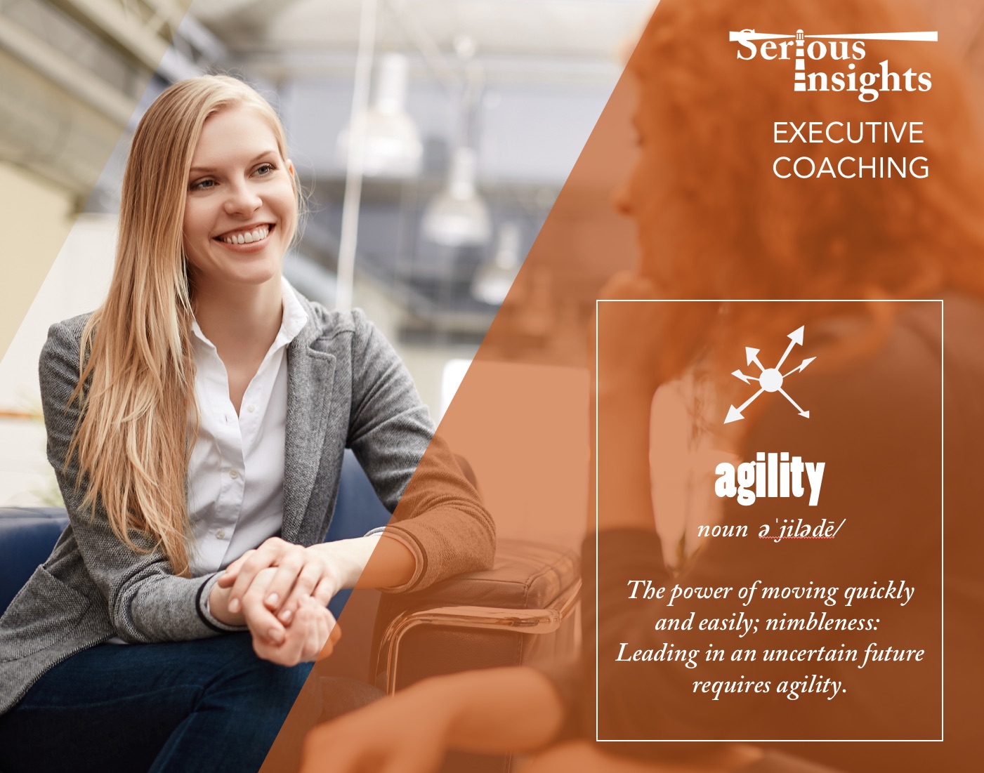 Executive Coaching - Serious Insights