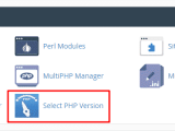 How To Change Your Php Version Through Cpanel Servercake India
