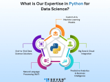 Python Data Science Development Services Top Language For Ai Ml In 2025