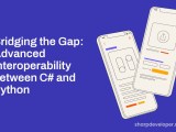 Bridging The Gap Advanced Interoperability Between C And Python