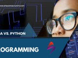 Navigating Java Vs Python In 2024 2025
