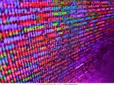Programmer Developer Screen Code Javascript Language Stock Photo