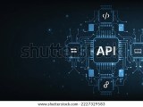 Application Programming Interface Api Software Development Stock Vector