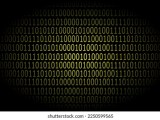 Binary Computer Program Code Vector Illustration Stock Vector Royalty