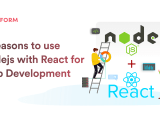 React Node Js Tutorial Bcvse