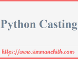 Python Casting Simmanchith