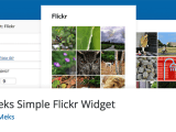 10 Best Flickr Wordpress Plugins For 2024 Mostly Free