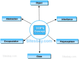 Oop S Concept In Java
