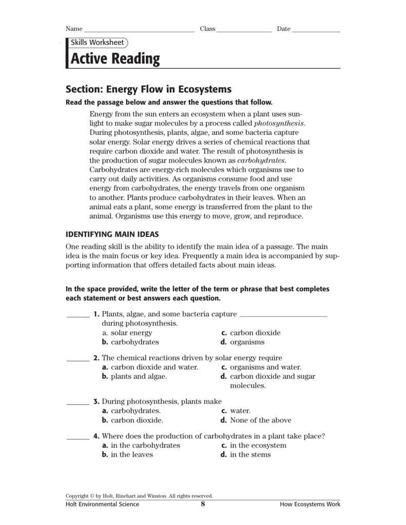 Skills Worksheet Active Reading Energy Flow In Ecosystems ...