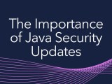 Java Security Protecting Applications From Vulnerabilities And Attacks