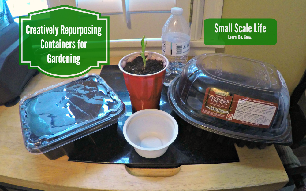 Creatively Repurposing Containers for Gardening - Small Scale Life