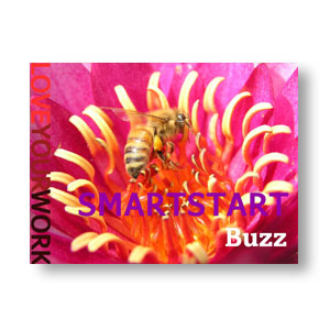 Smartstart Buzz - Smartstartcoach