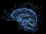 How Does The Brain Store Memories Exploring The Science Of Thinking