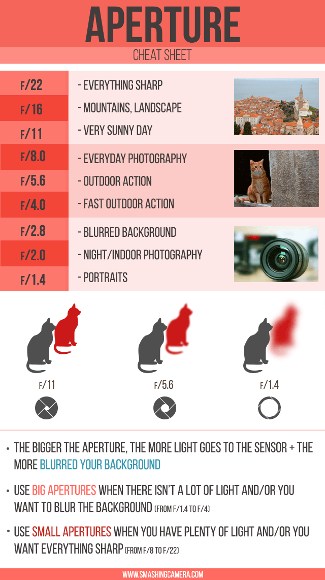 Aperture Cheat Sheet: Tips That Will Improve Your Photographs ...