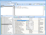 Database Browser