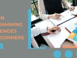 Python Programming Challenges For Freshers Solve Today