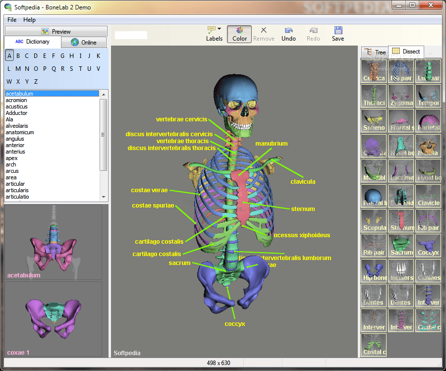 BoneLab | εℓ!'s Blog