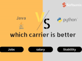 Java Vs Python Which Is Better For Future