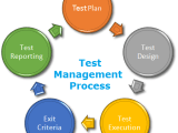 Test Management Process Software Testing Class