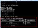 Selenium Database Testing Using Webdriver And Jdbc Api