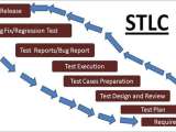 Testing Process In Software Engineering Infoupdate Org