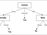 Decision Tree Algorithm Examples In Data Mining