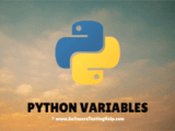 Selenium Python Tutorial For Beginners