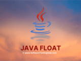 Java Float Tutorial With Programming Examples