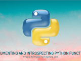 Python Docstring Documenting And Introspecting Functions