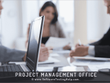 Project Management Office Pmo Roles And Responsibilities
