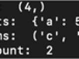 Python Docstring Documenting And Introspecting Functions