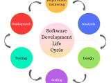 Sdlc Software Development Life Cycle Software Testing Material