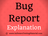 How To Write A Good Bug Report Bug Report Template With Detailed