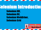 Javascript Executor In Selenium Python