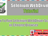 Javascript Executor In Selenium Python